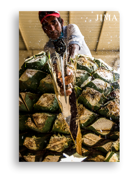 Jima | 2do Concurso de Fotografía